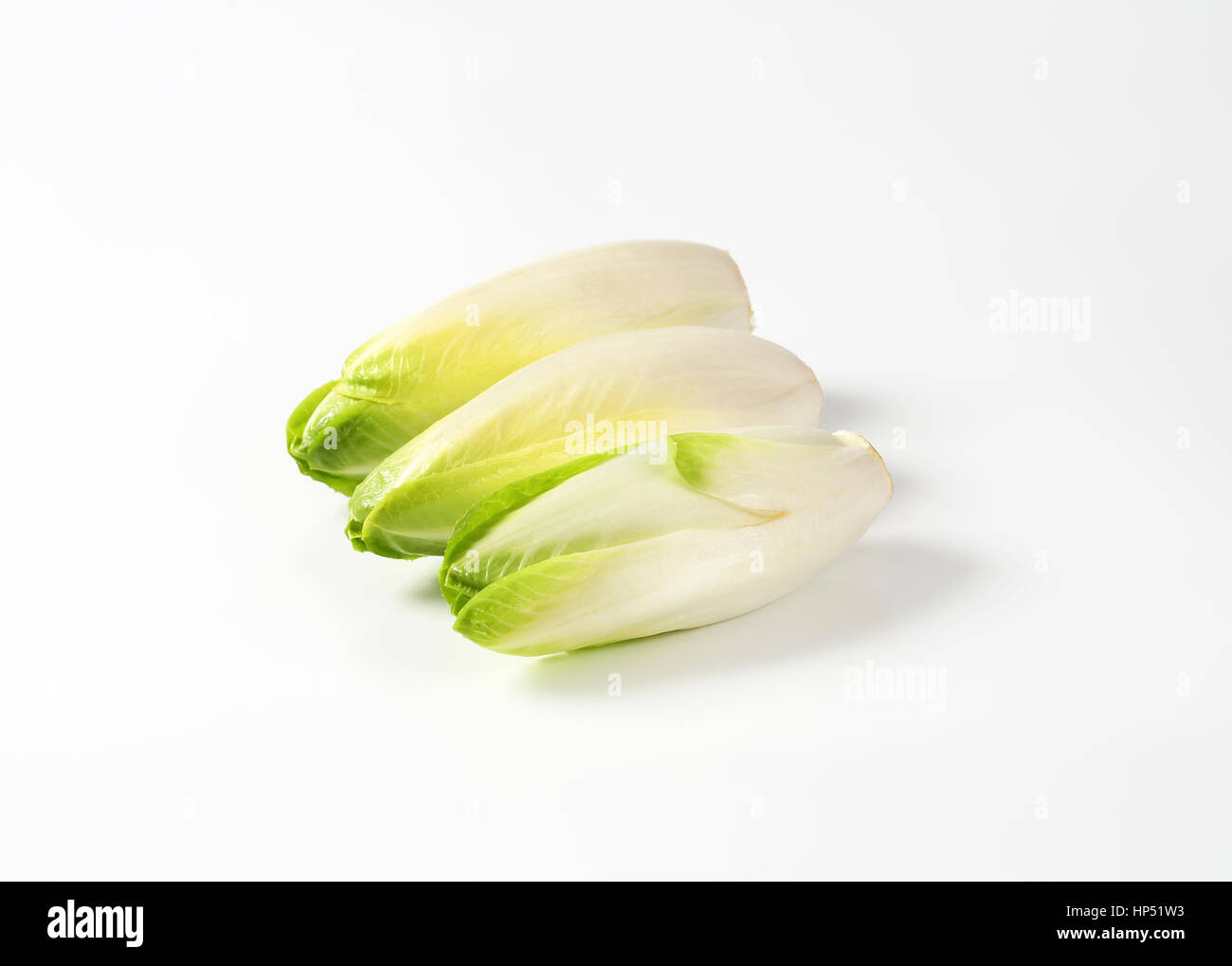 heads of fresh belgian endive on white background Stock Photo - Alamy