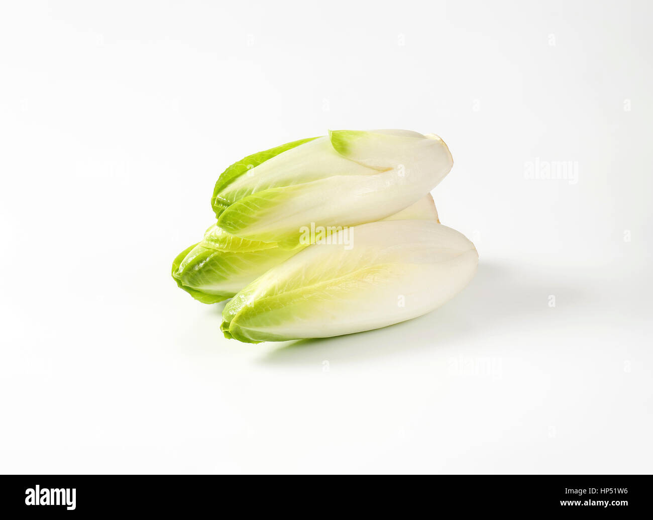 heads of fresh belgian endive on white background Stock Photo - Alamy