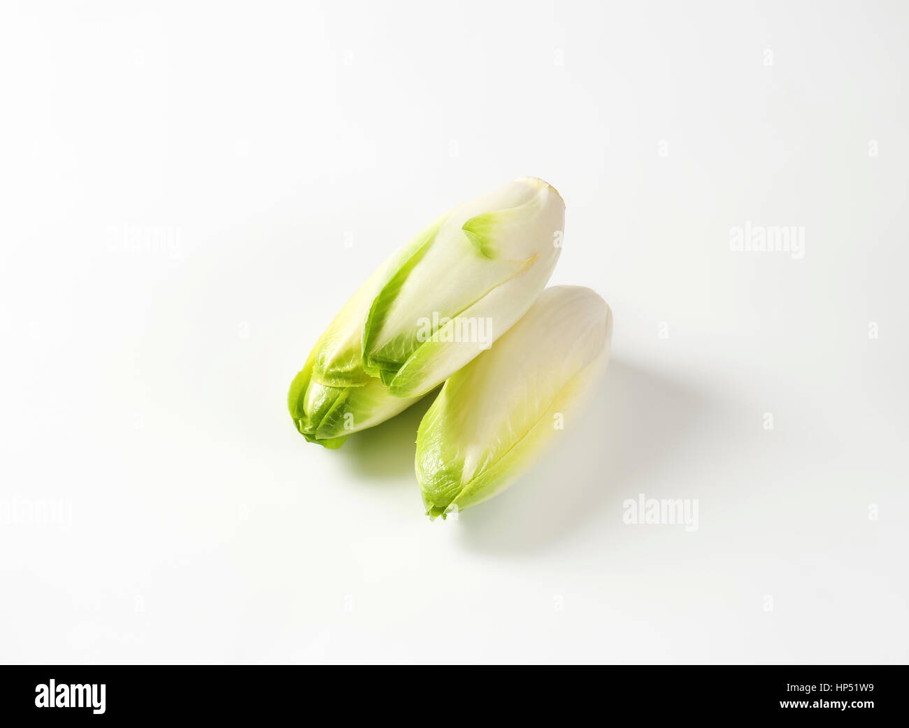 heads of fresh belgian endive on white background Stock Photo - Alamy