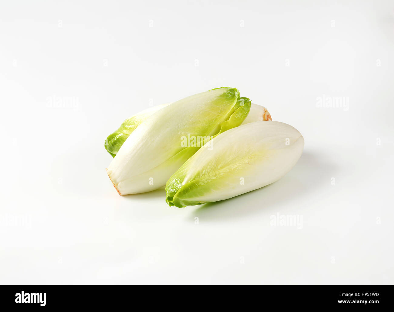 heads of fresh belgian endive on white background Stock Photo - Alamy