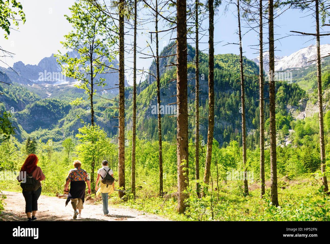 Hinterstoder, Austria High Resolution Stock Photography and Images - Alamy