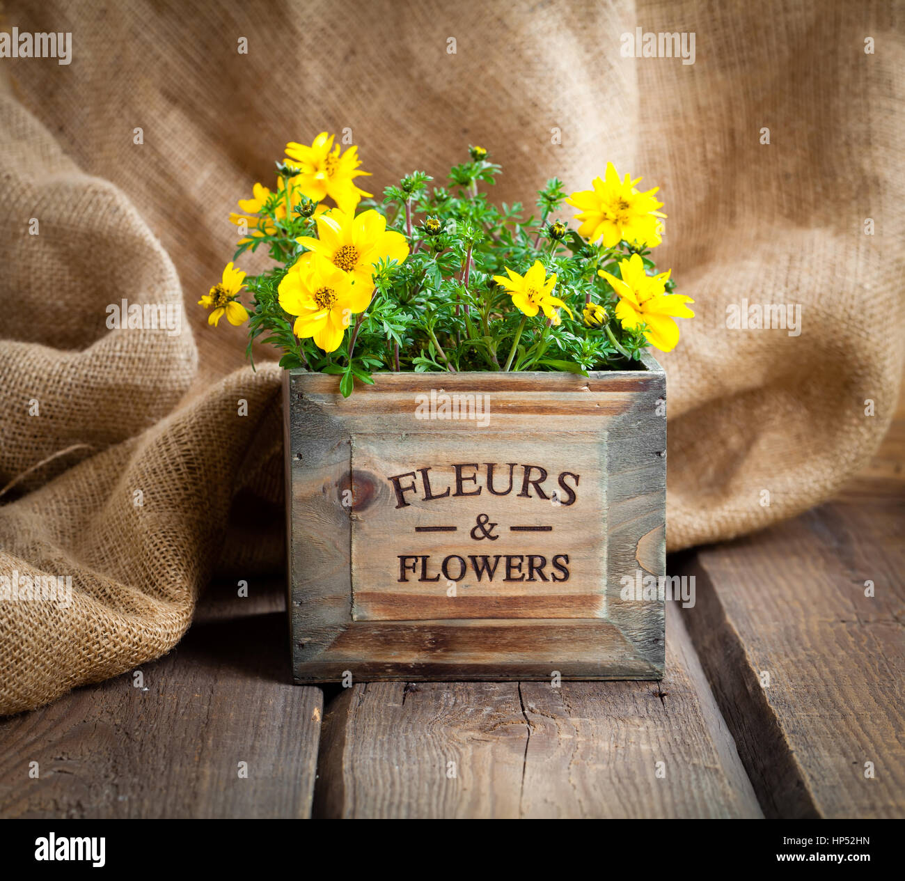 Goldilocks In Bed High Resolution Stock Photography and Images - Alamy