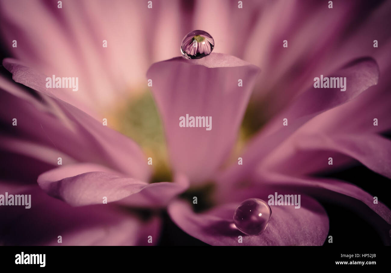 Refraction water hi-res stock photography and images - Alamy