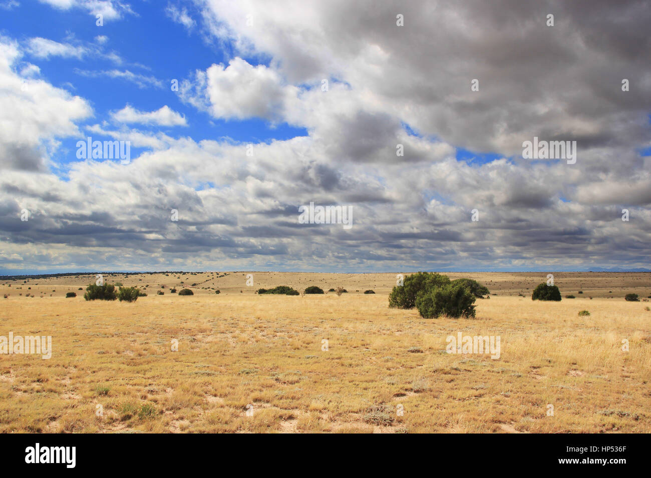 Landscapes of new mexico hi-res stock photography and images - Alamy