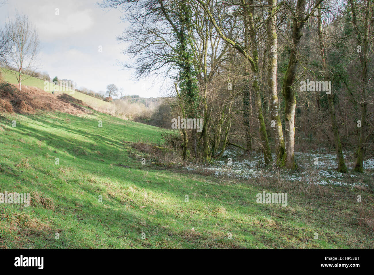 Wheddon cross hi-res stock photography and images - Alamy