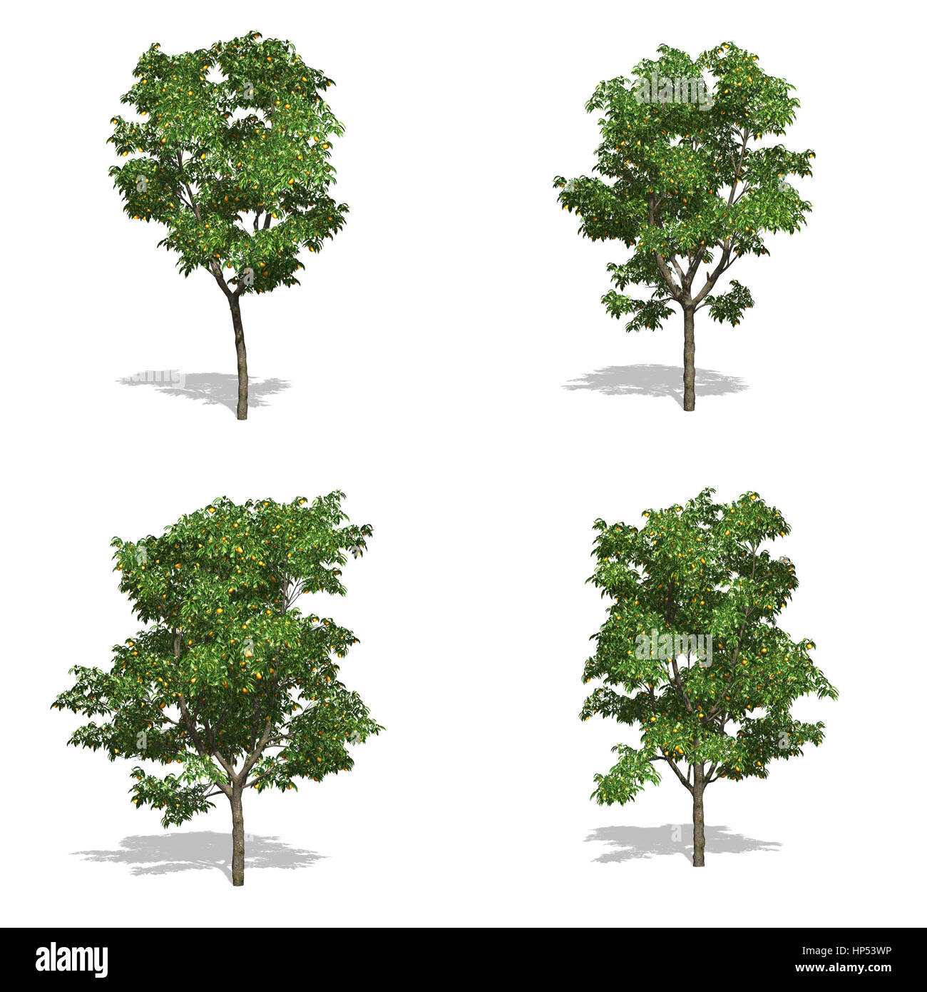 Forest wood trees orange Cut Out Stock Images & Pictures - Alamy