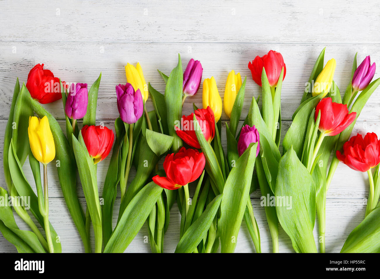 Fresh spring flowers background Stock Photo - Alamy