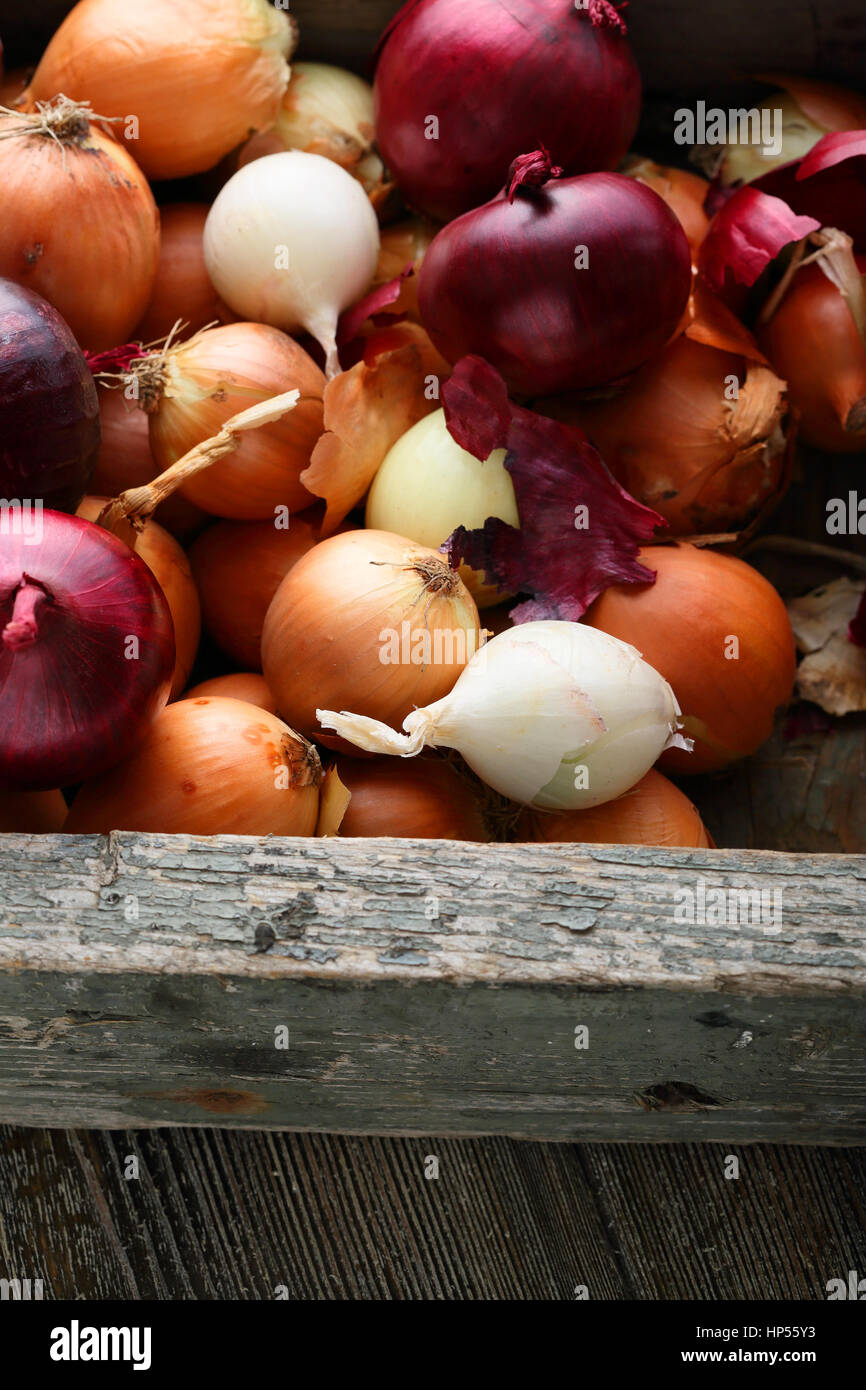 Mix of onions in wood crate, food closeup Stock Photo - Alamy