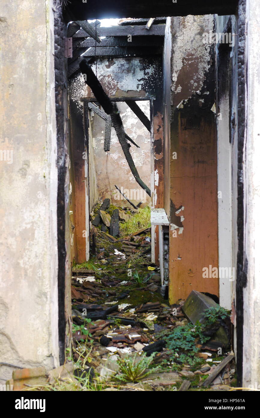 Burnt house in nature. The remains of a fire in a house where nature ...