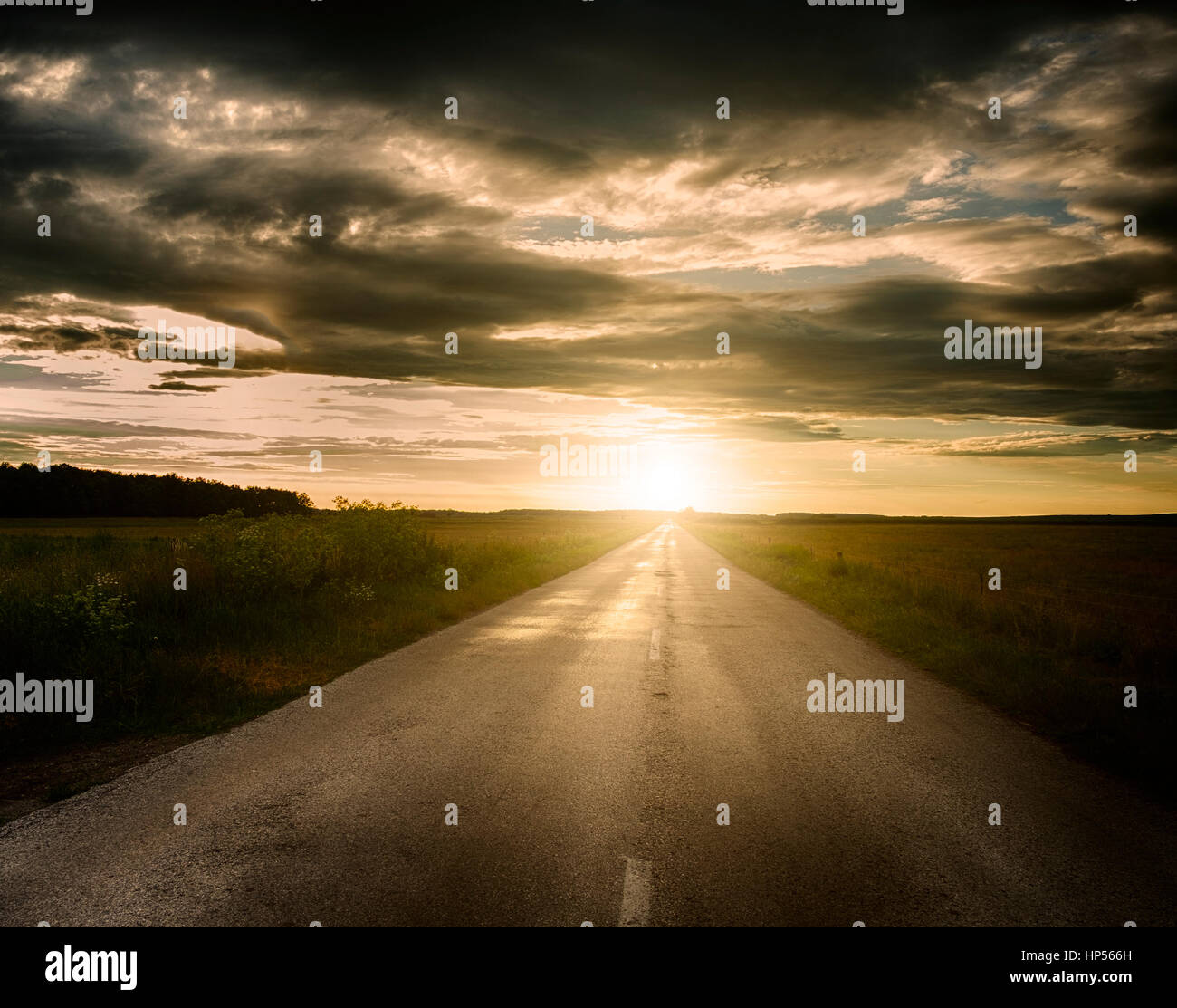 Summer road in sunset Stock Photo - Alamy
