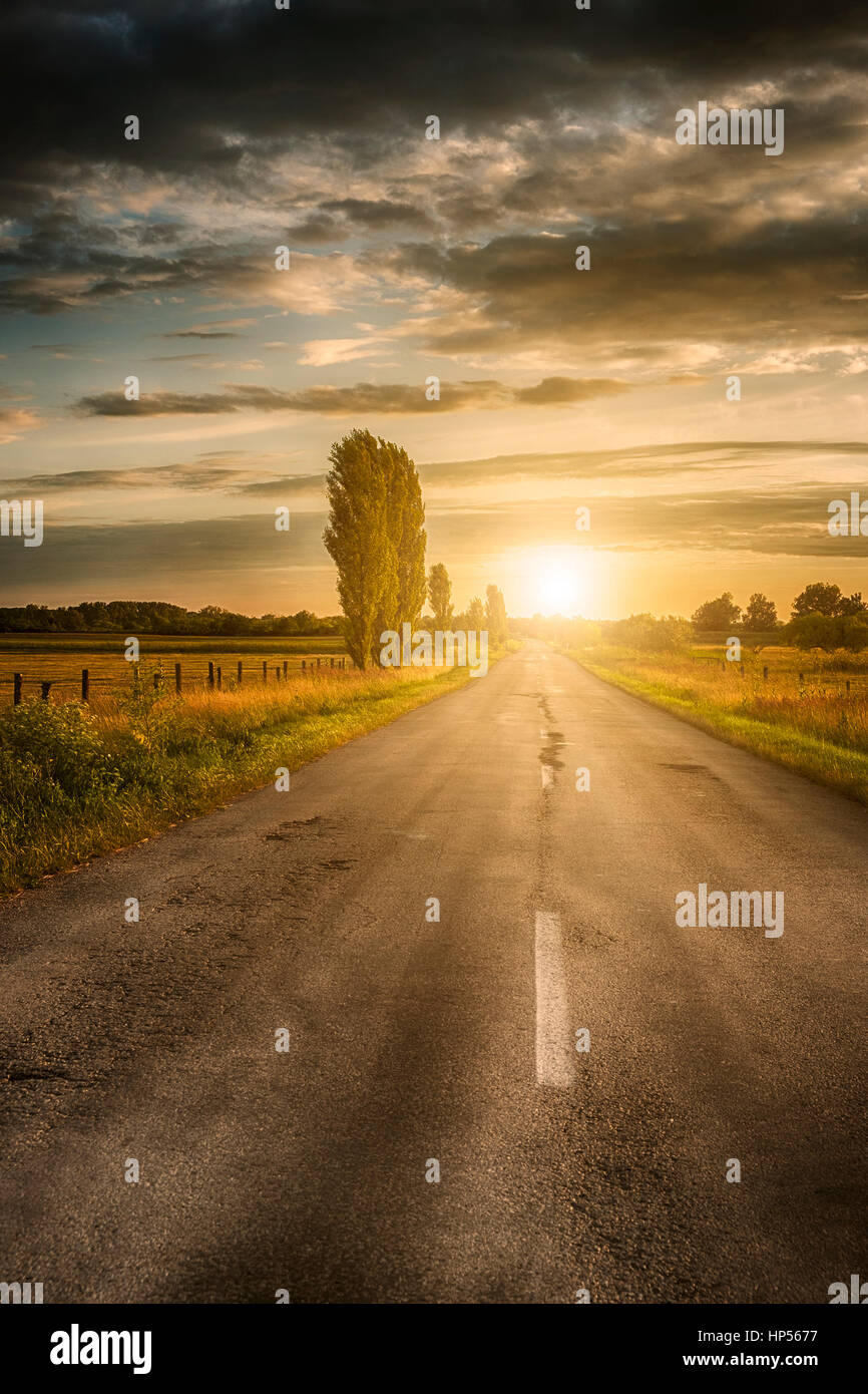 Summer road in sunset Stock Photo - Alamy