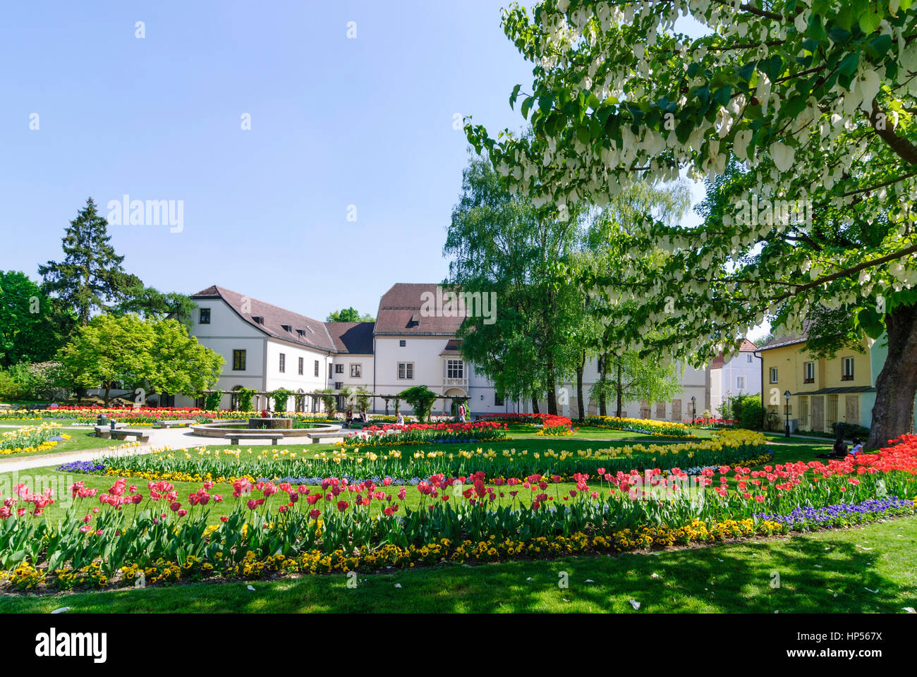 Wels, castle Wels, Zentralraum, Oberösterreich, Upper Austria, Austria ...