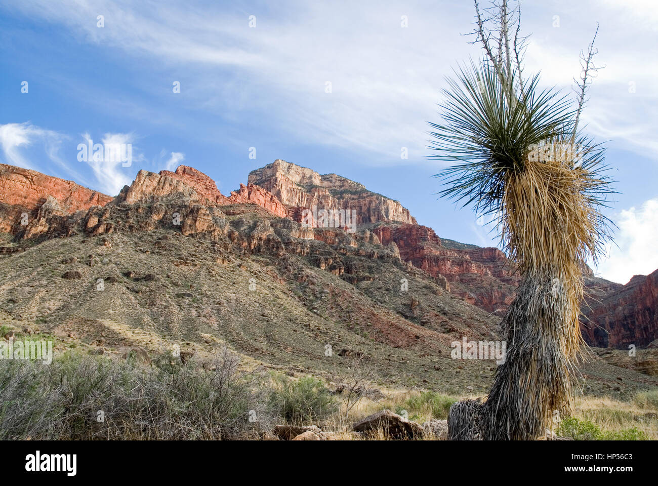 Tonto plateau grand canyon hi-res stock photography and images - Alamy