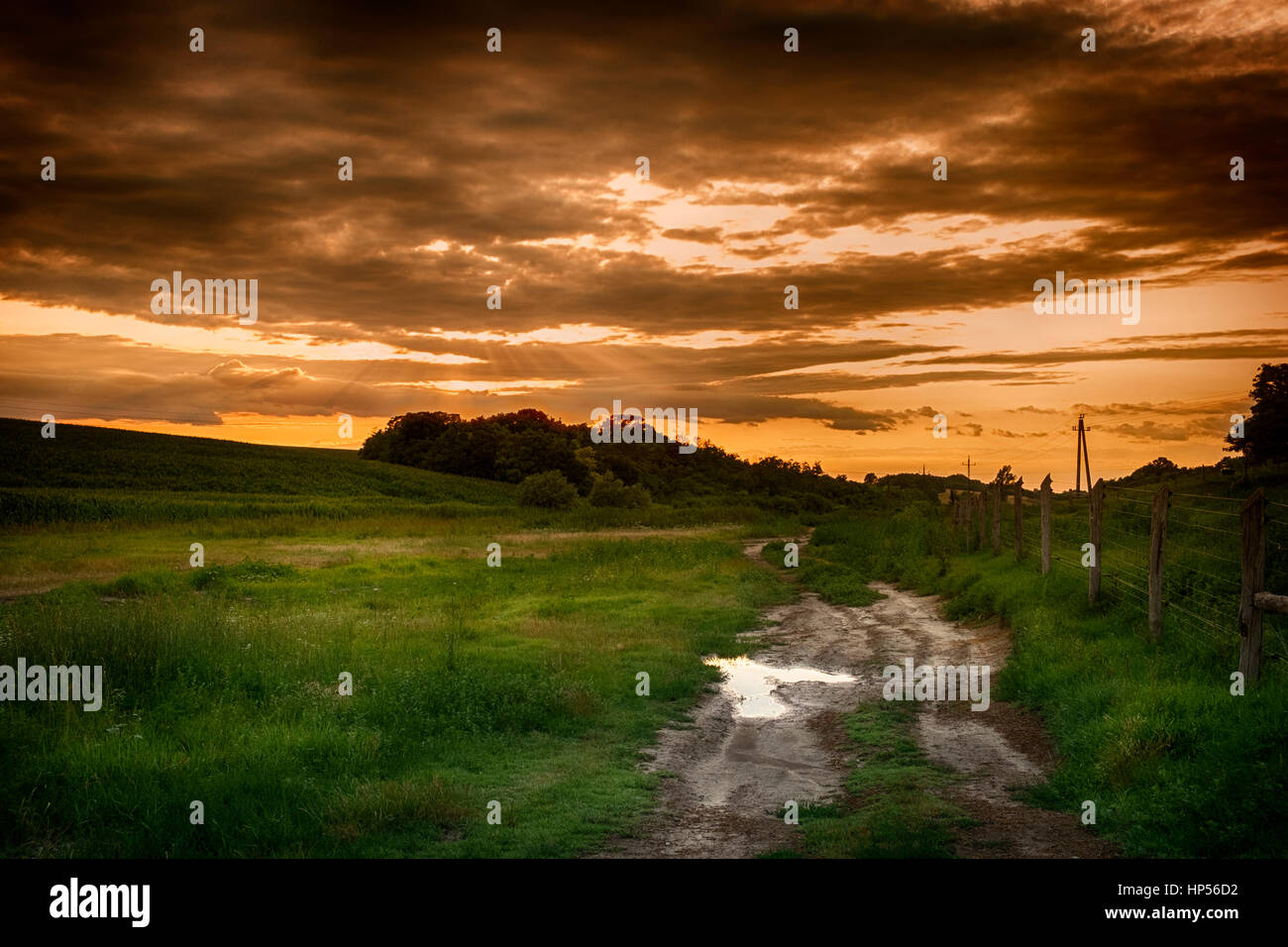 Summer sunset road Stock Photo - Alamy
