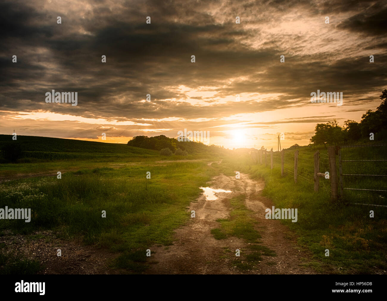 Summer sunset road Stock Photo - Alamy