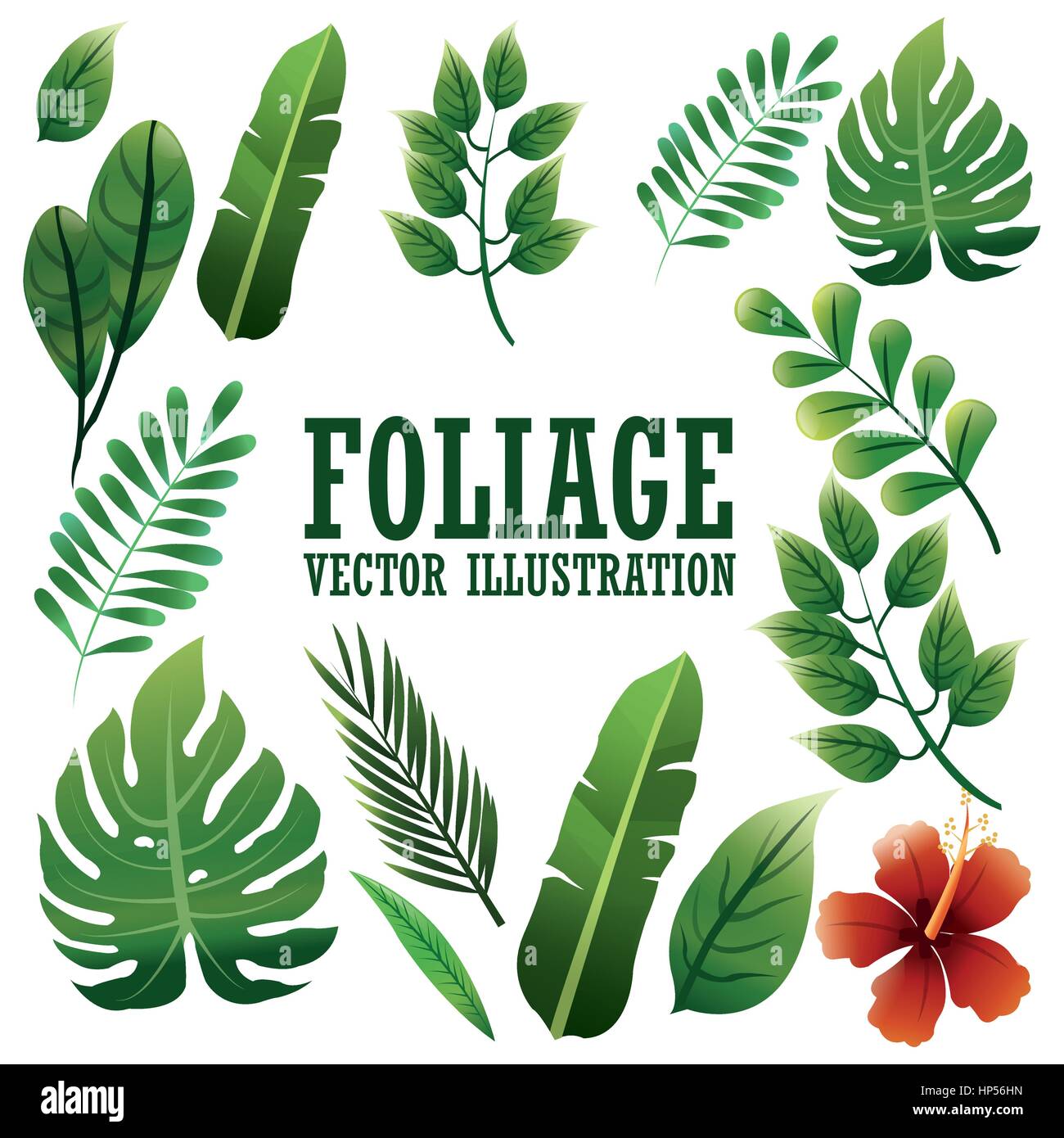 Foliage concept with icon design, vector illustration 10 eps graphic ...