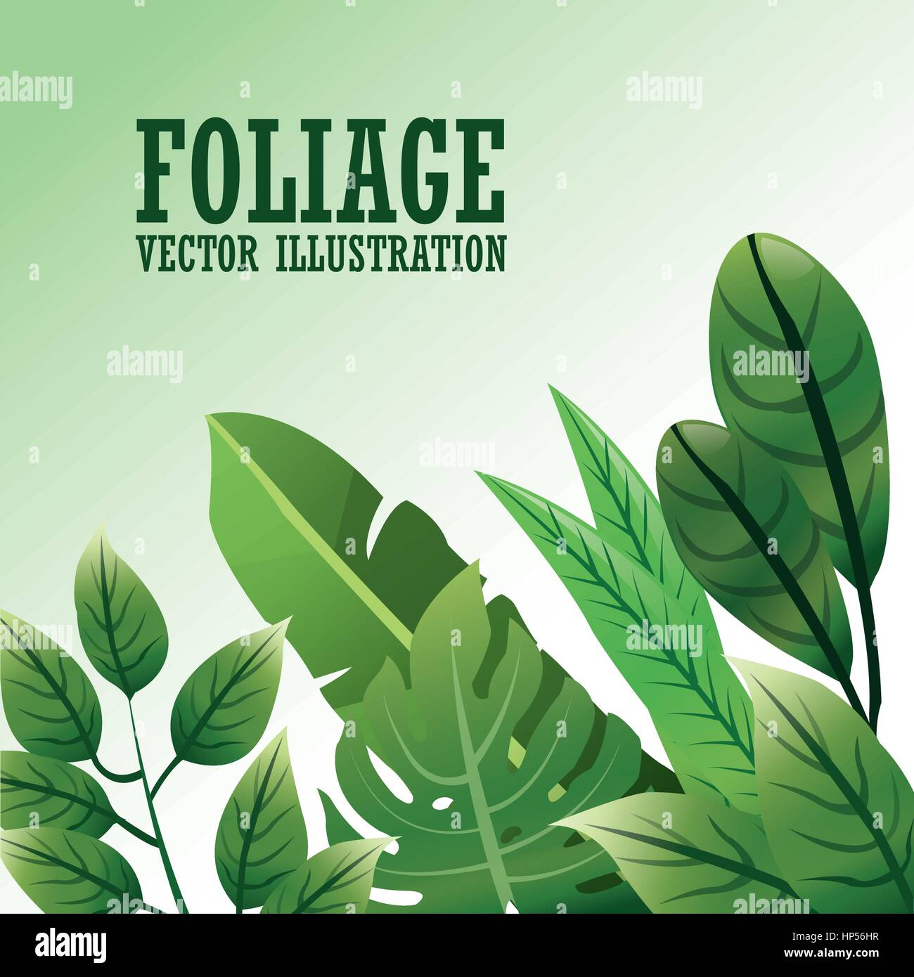 Foliage concept with icon design, vector illustration 10 eps graphic ...