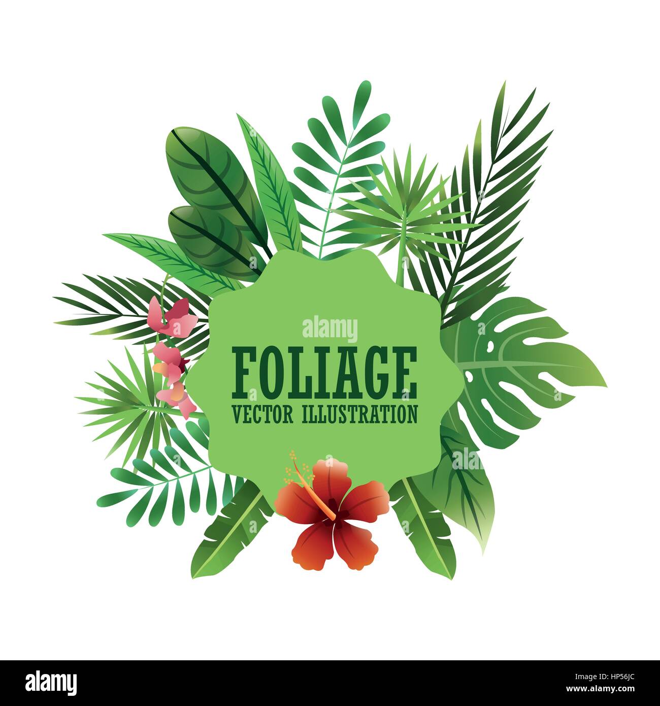 Foliage concept with icon design, vector illustration 10 eps graphic ...
