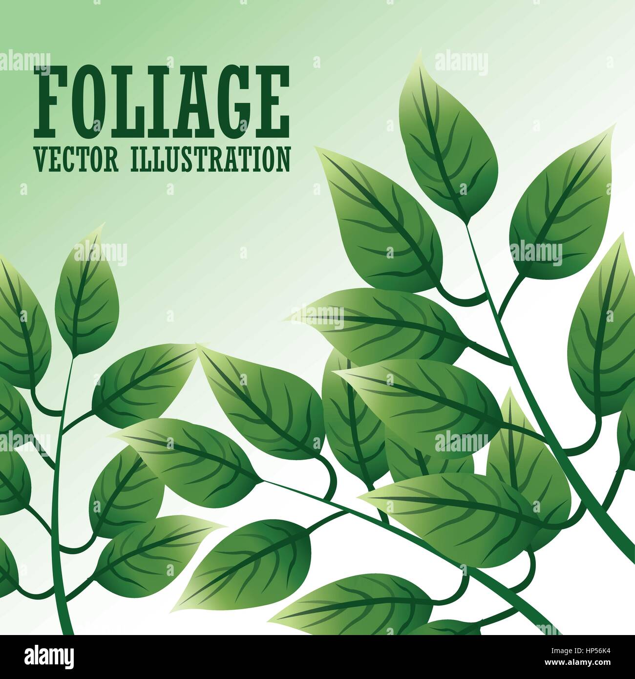 Foliage concept with icon design, vector illustration 10 eps graphic ...