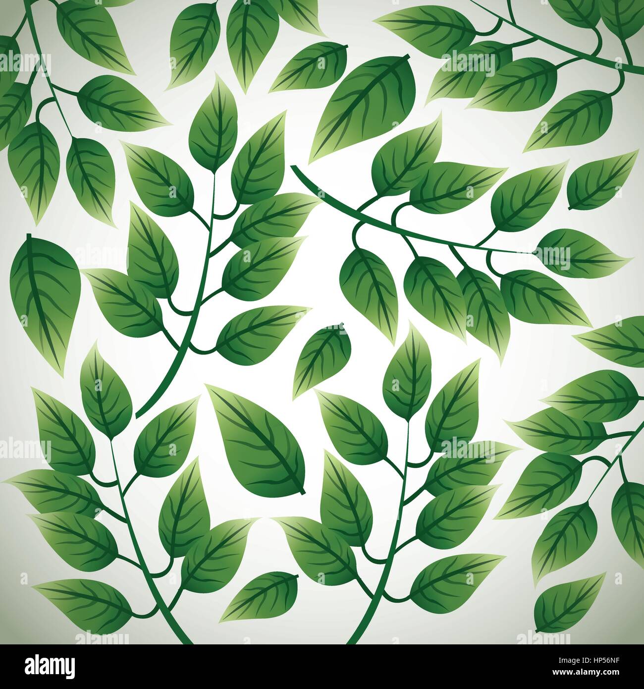 Foliage concept with icon design, vector illustration 10 eps graphic ...