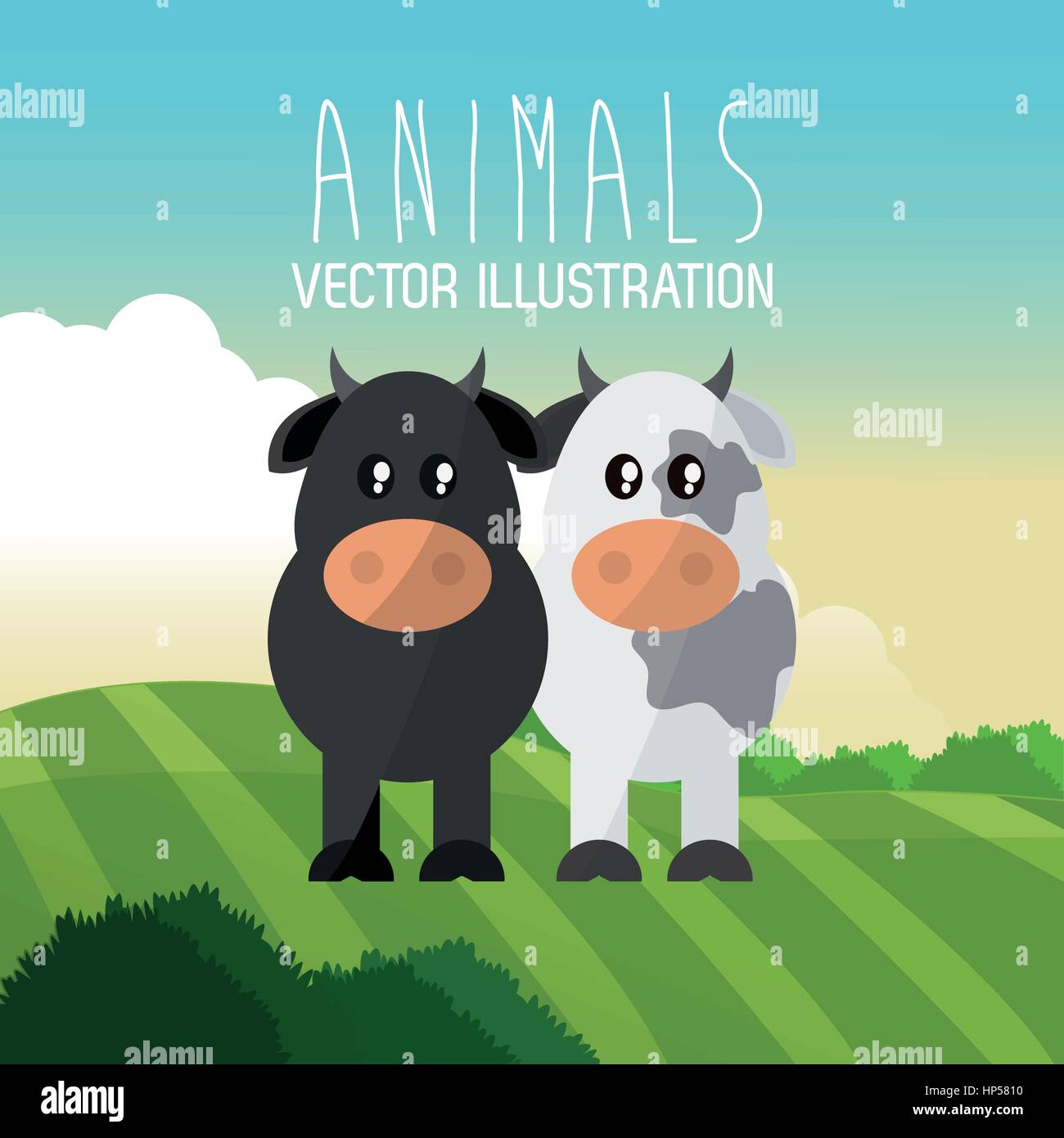 cow and bull design , vector graphic , animal illustration Stock Vector ...