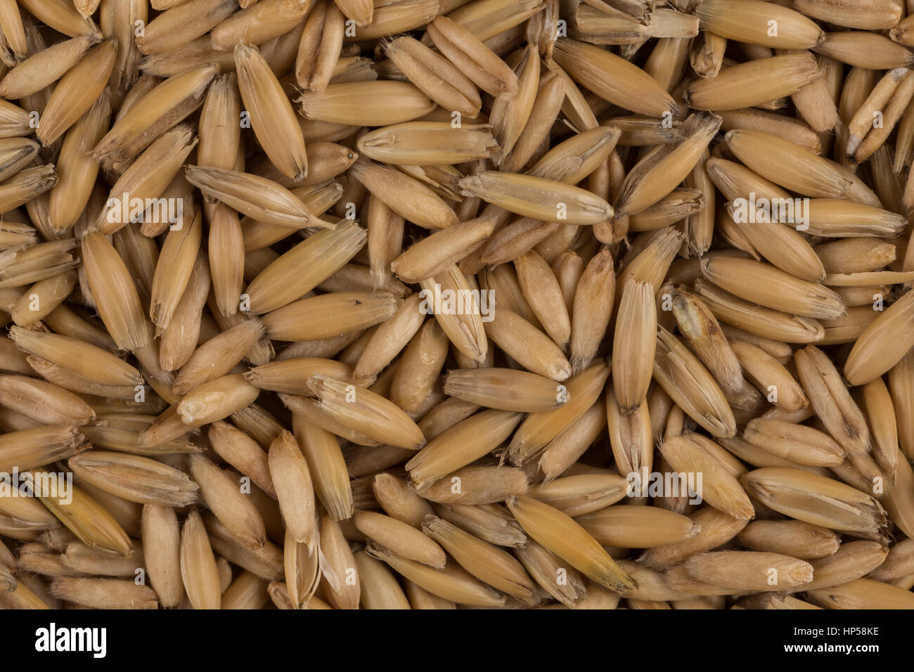 natural oat grains for background, close up shot Stock Photo - Alamy