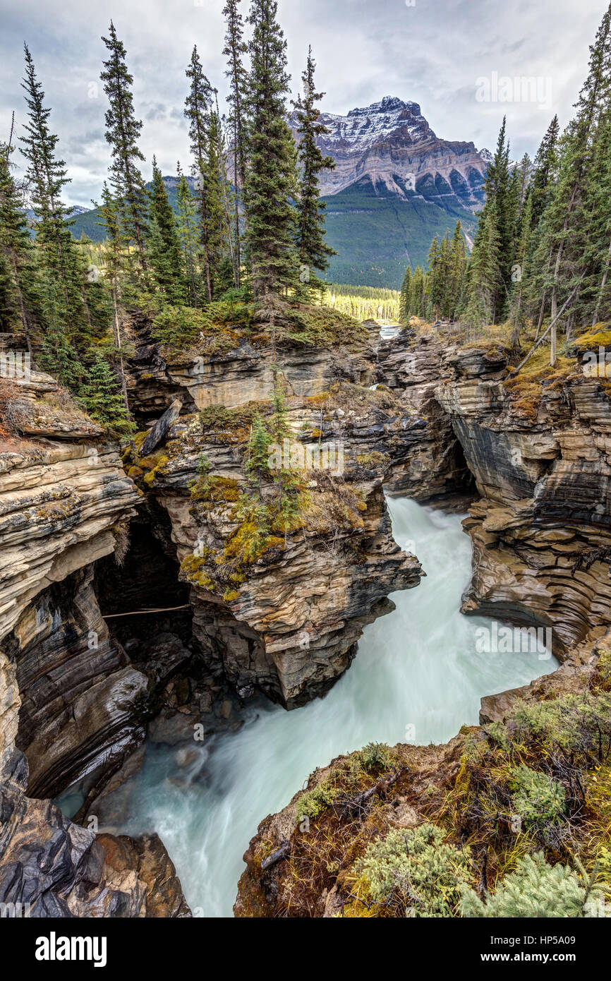 Athabasca falls jasper national park hi-res stock photography and ...