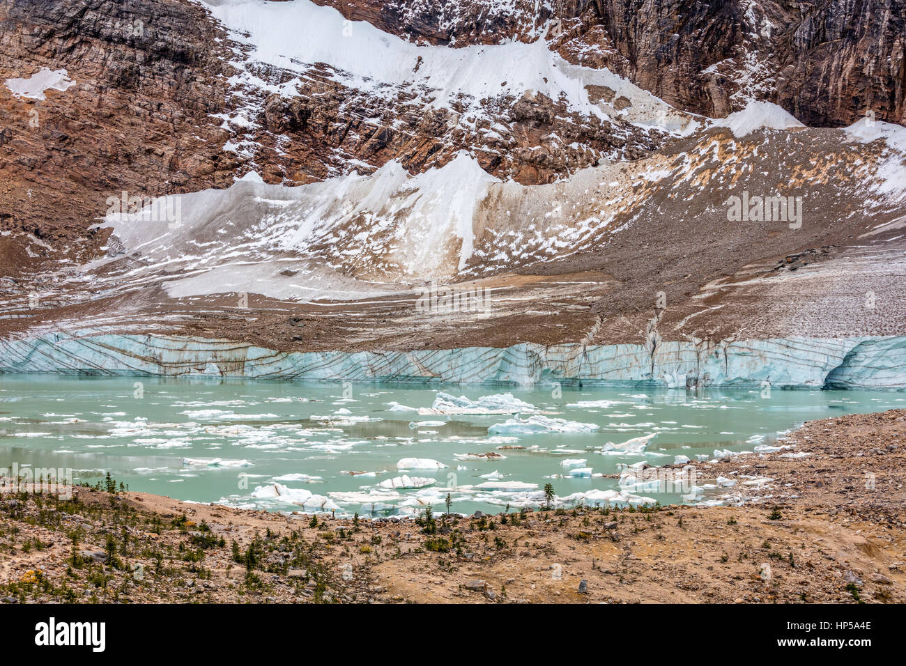 Meltwater lake of mount Edith Cavell with its little icebergs in Jasper ...