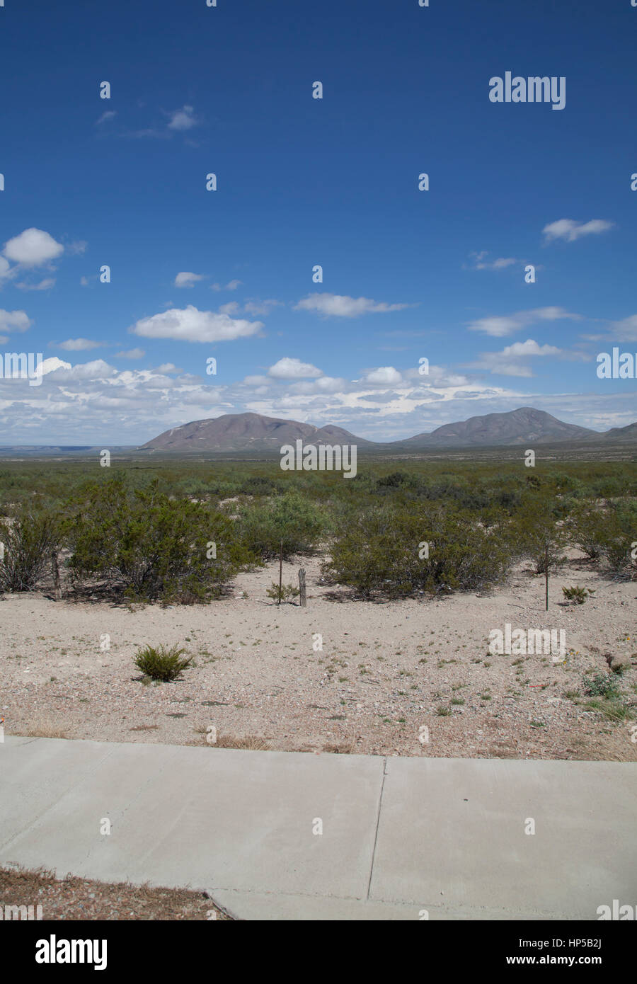 Desert brush plants hi-res stock photography and images - Alamy