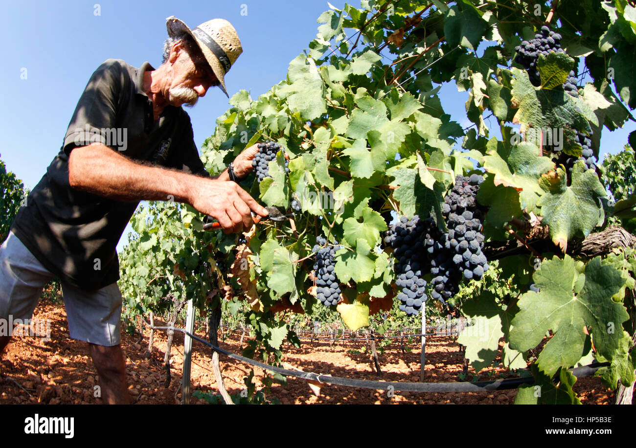 Spanish field workers hi-res stock photography and images - Alamy
