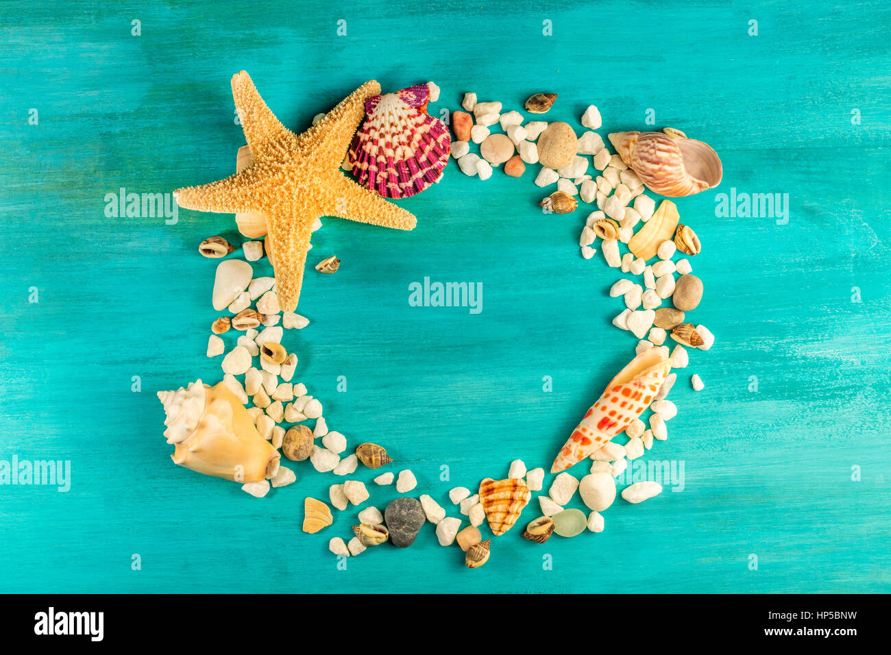 An overhead photo of a sea star, sea shells, and pebbles forming a ...