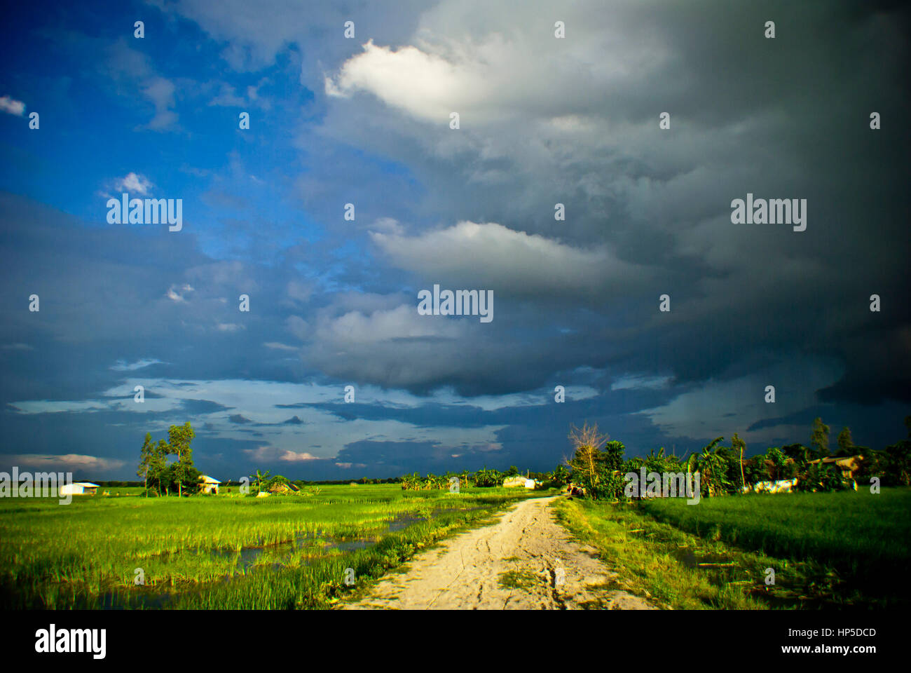 Kolkata city life hi-res stock photography and images - Alamy
