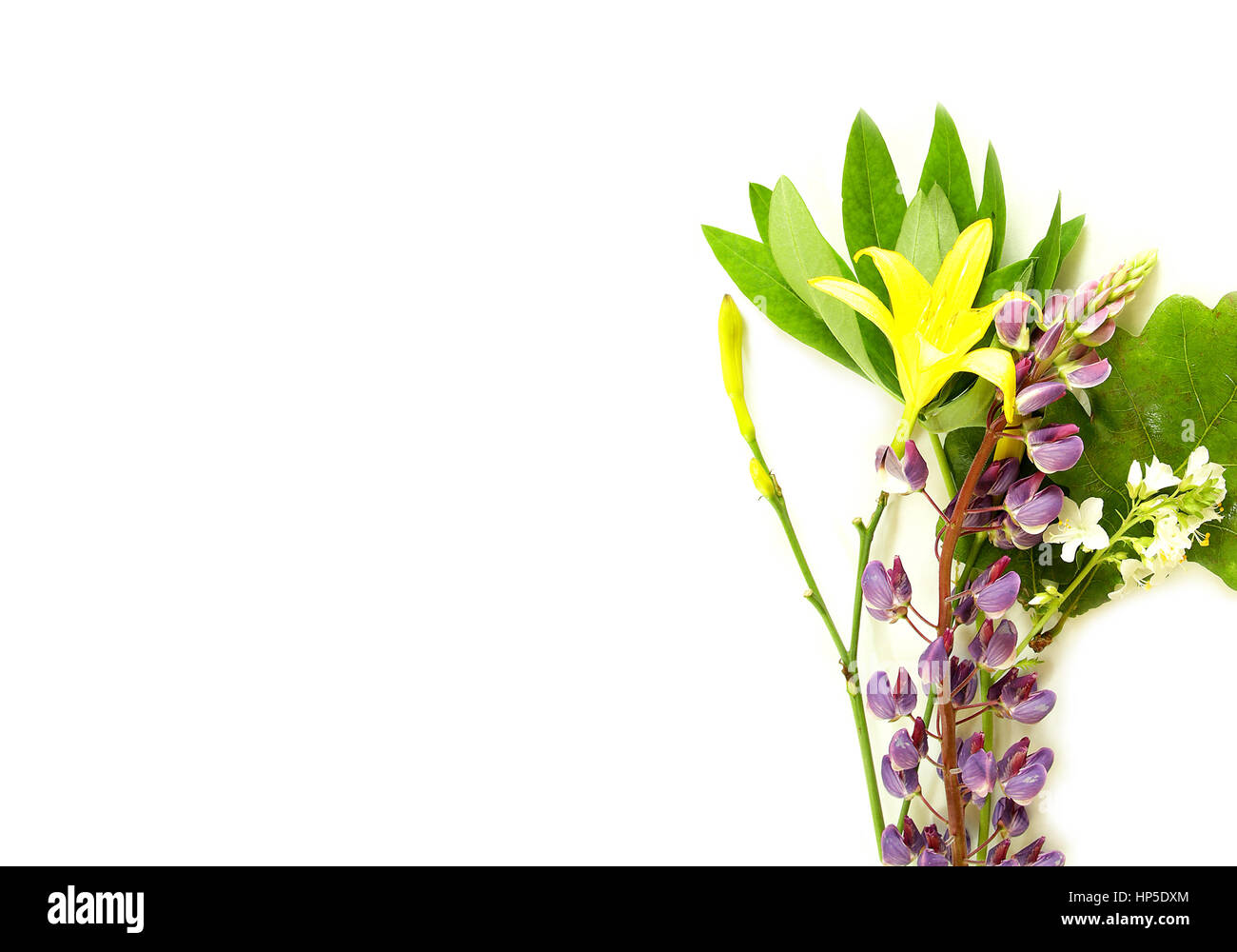 solstice midsummer herbs flowers on white background Stock Photo - Alamy