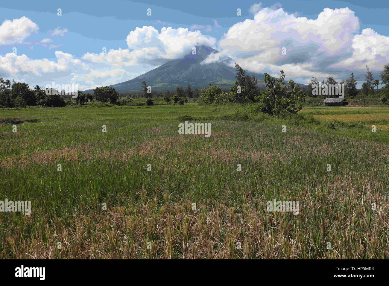 Mayon volcano natural park hi-res stock photography and images - Alamy