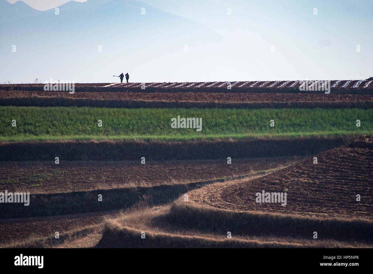 Beijing, China's Yunnan Province. 18th Feb, 2017. Two farmers prepare ...