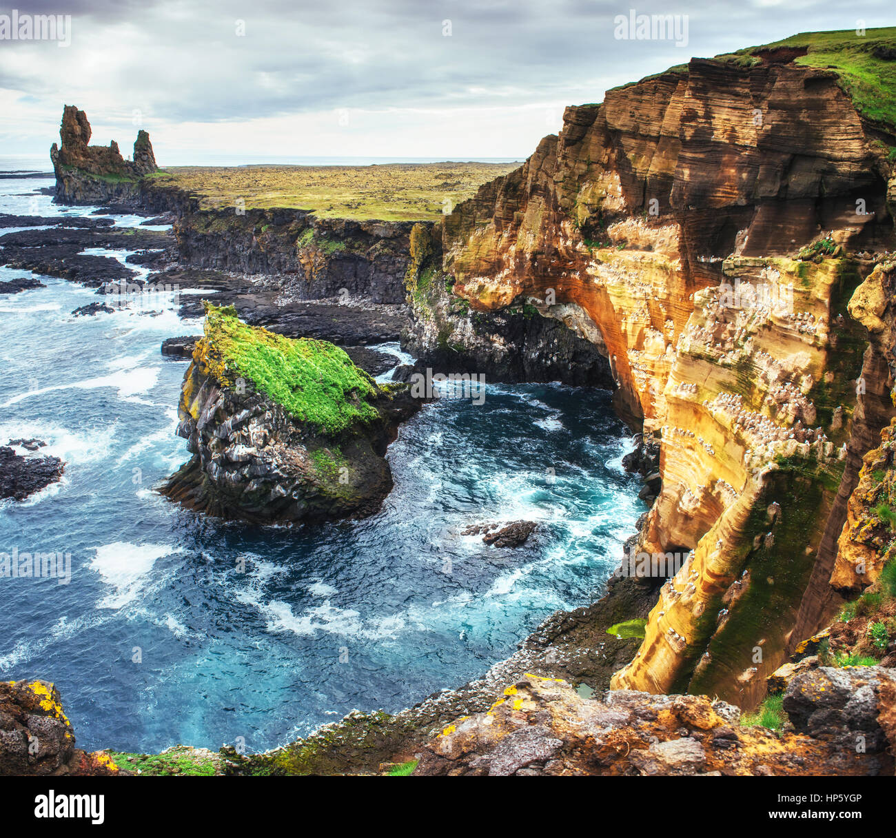 Scenic view of coastline at Arnarstapi Iceland Stock Photo - Alamy