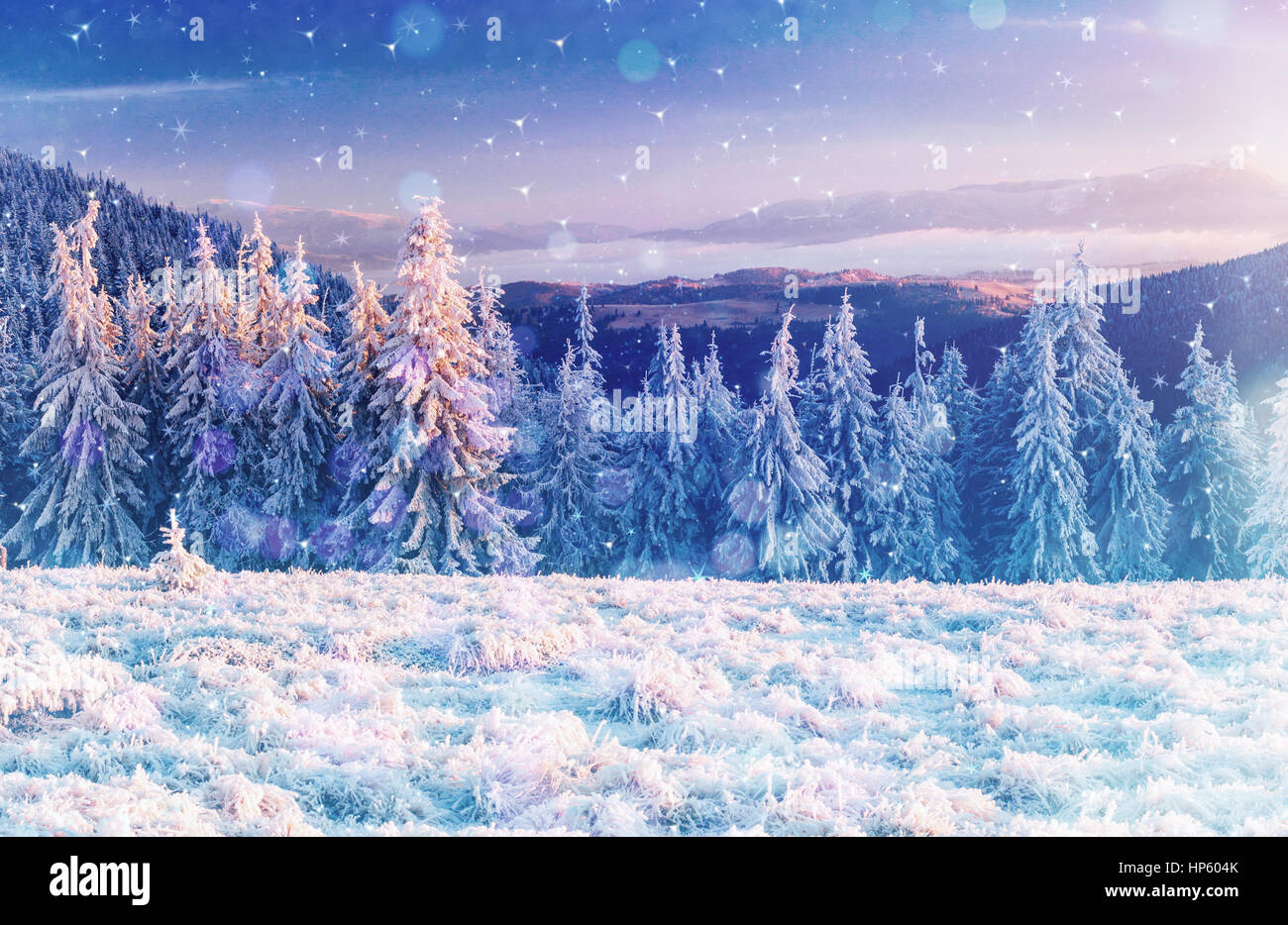 winter landscape trees and fence in hoarfrost, background with s Stock ...