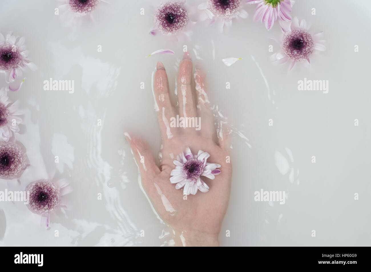 Woman's hand holding flowers under water. Spa treatment Stock Photo - Alamy