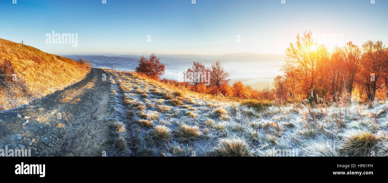 Early Green High Resolution Stock Photography and Images - Alamy