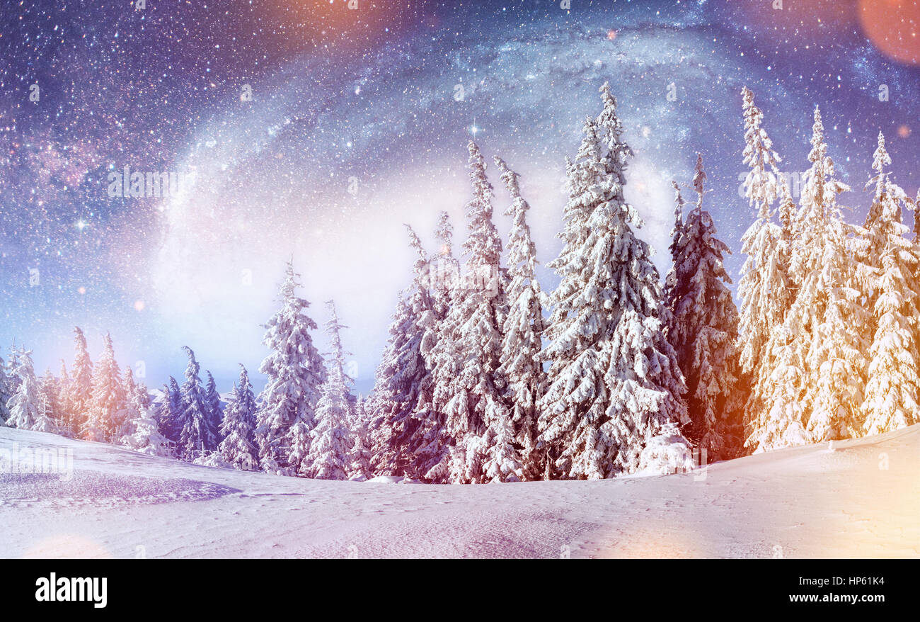 starry sky in winter snowy night. fantastic milky way in the New Stock Photo - Alamy