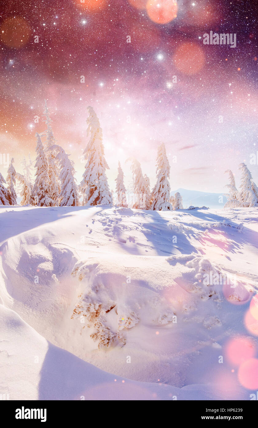 starry sky in winter snowy night. fantastic milky way in the New Stock Photo - Alamy