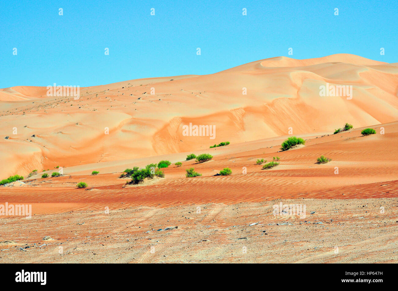 Wind-formed patterns in this collection of sand in the Arabian Desert ...