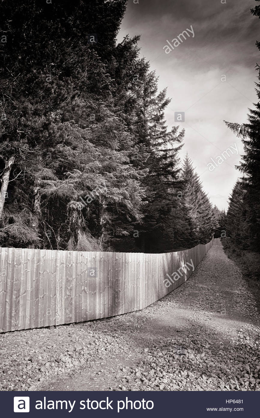 Tall Fence Stock Photos & Tall Fence Stock Images - Alamy