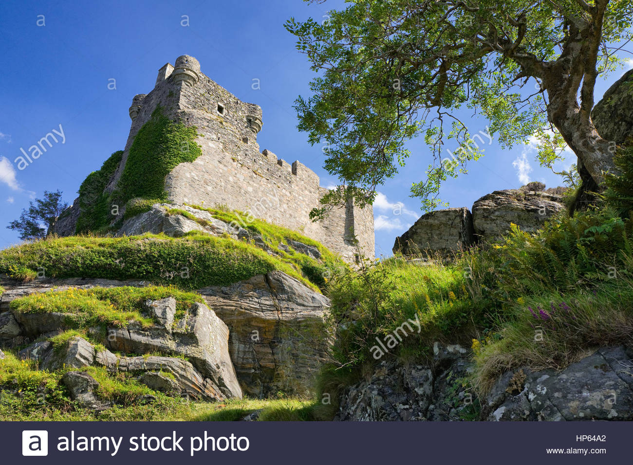 Castle Tioram Stock Photos & Castle Tioram Stock Images - Alamy