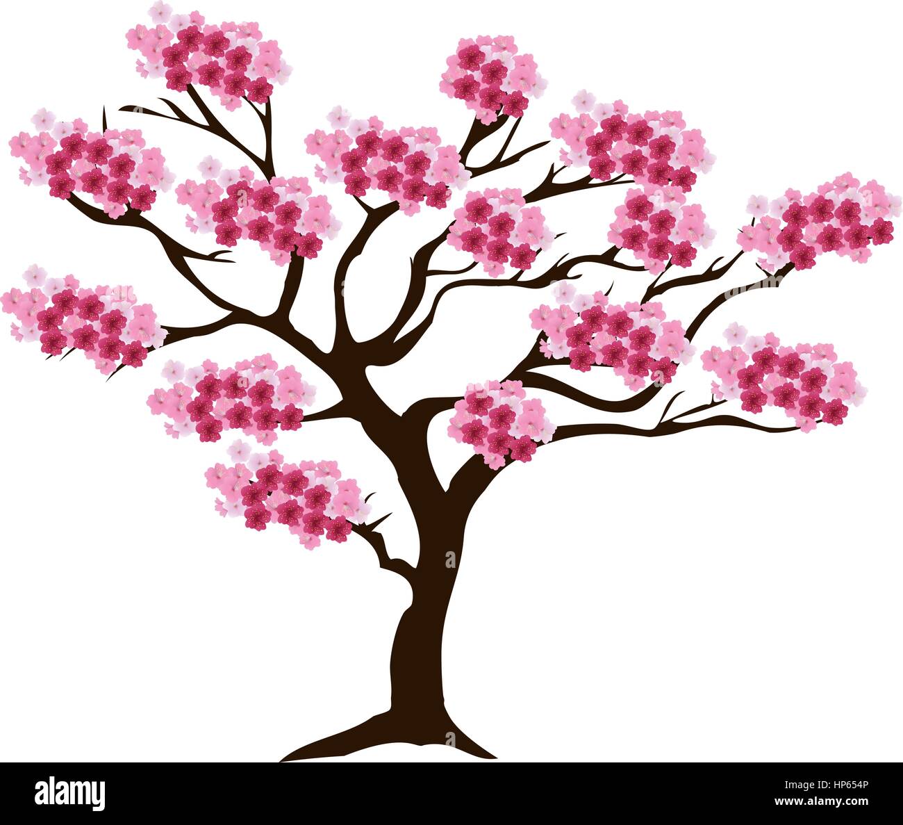 vector illustration of a cherry tree in blossom sacura tree Japanese ...