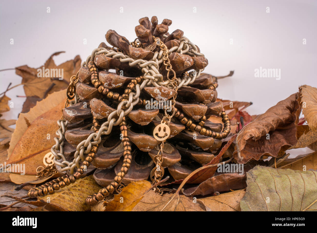 Pine cone and chain on a brown background Stock Photo - Alamy