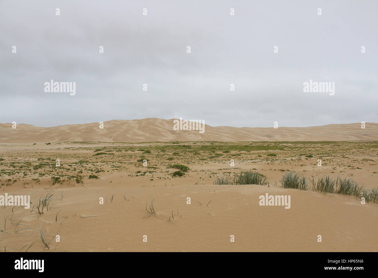 Cloudy day in Worimi National Park sand dunes near Anna Bay Stock Photo ...