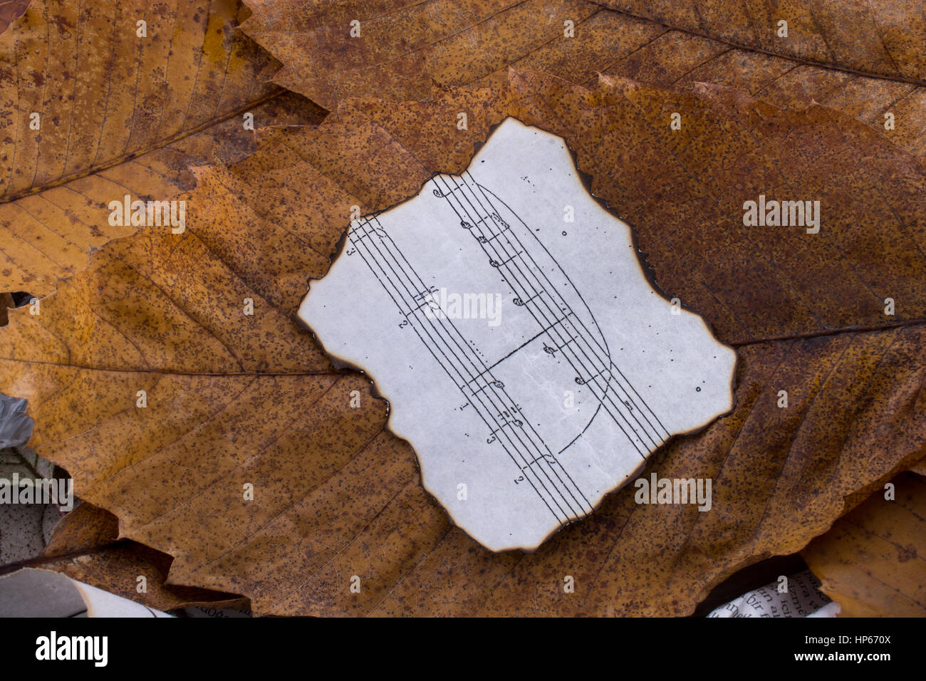 Musical notes on burnt paper placed on a leaf Stock Photo - Alamy