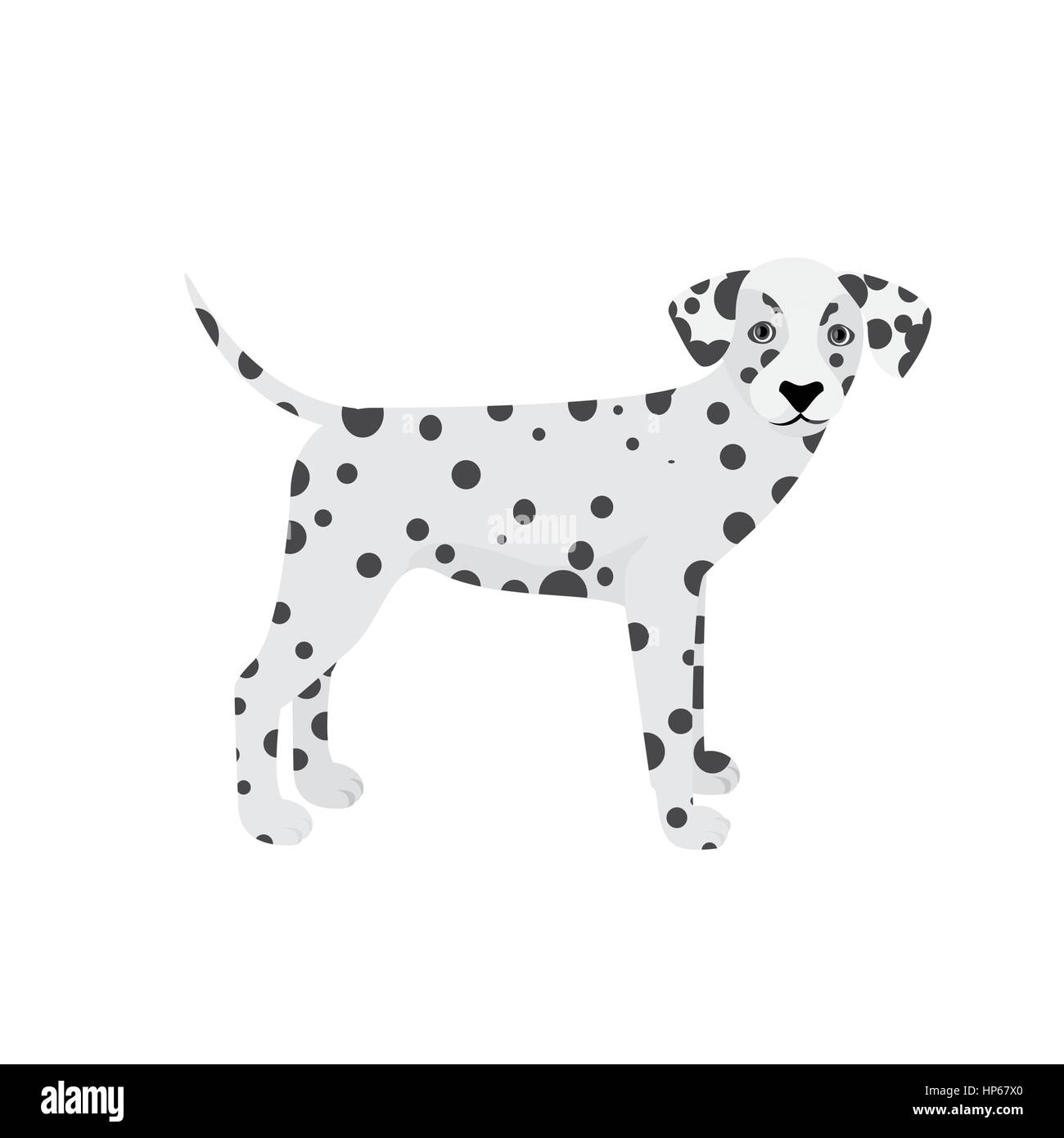 Black dog white spot on Stock Vector Images - Alamy