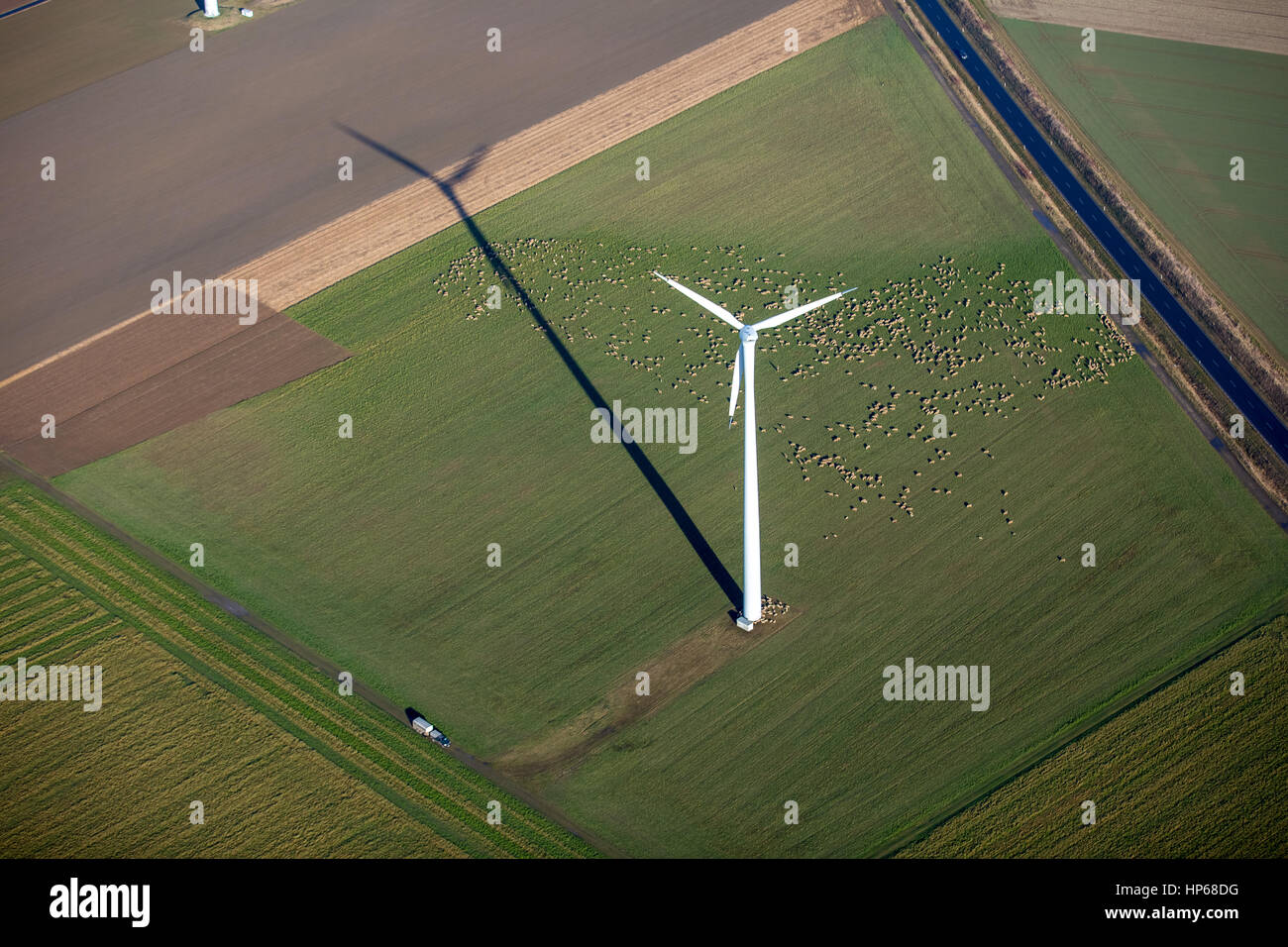 Wind power plant on a field, sheep herd, fields, alternative energy ...